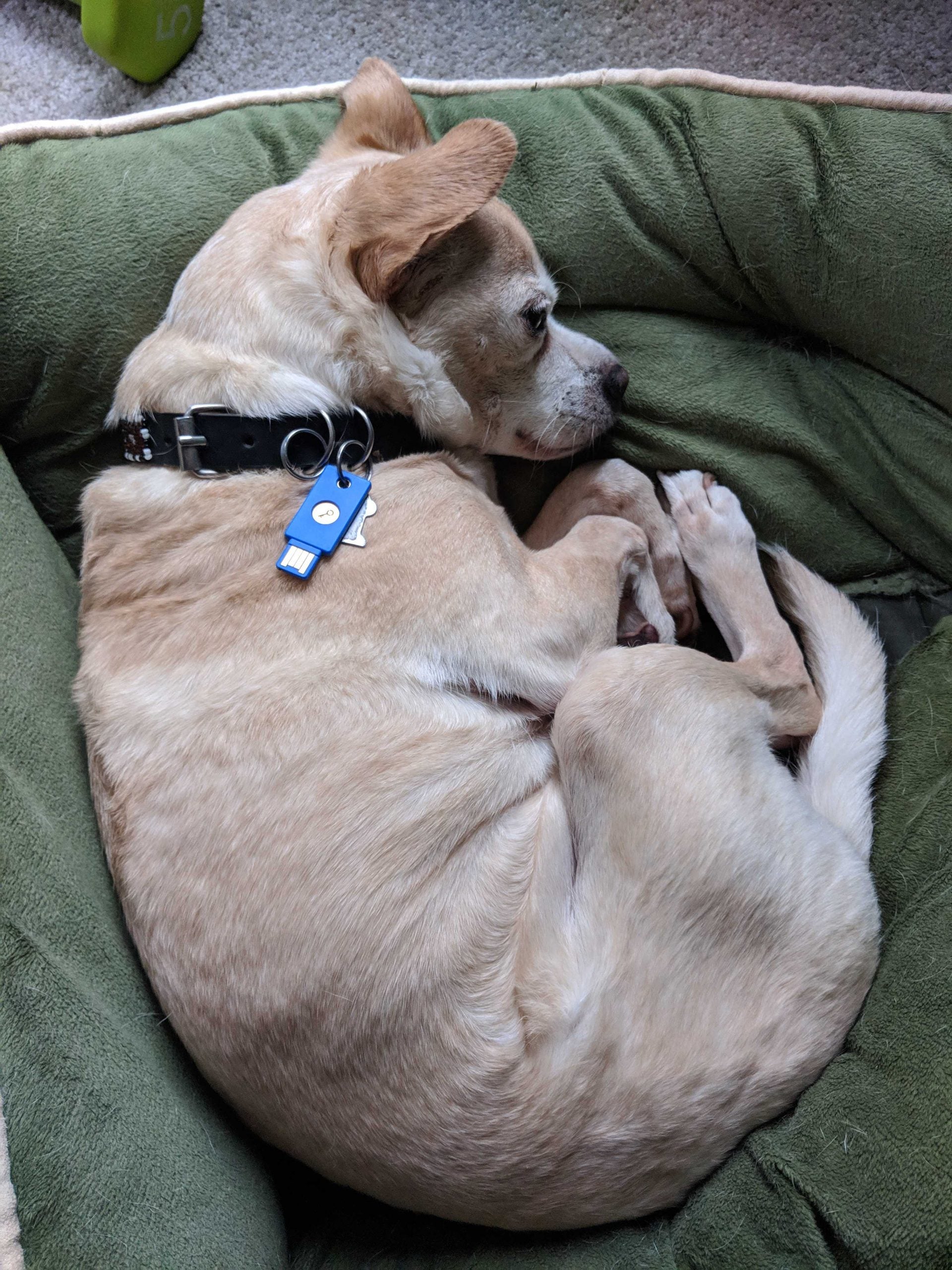 What is FIDO Universal 2nd Factor? | Yubico